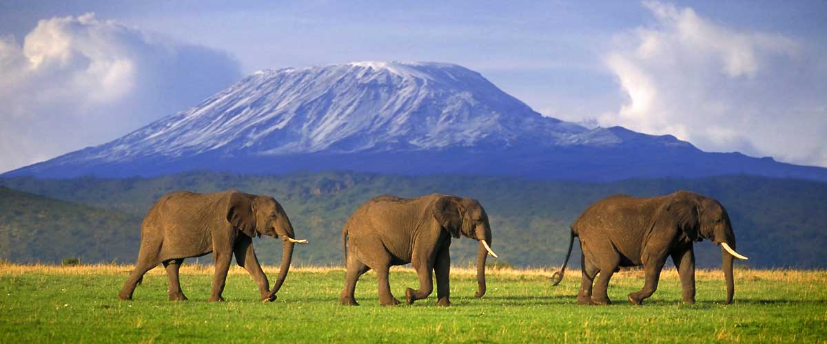 Visit Tanzania – Land of the Kilimajaro